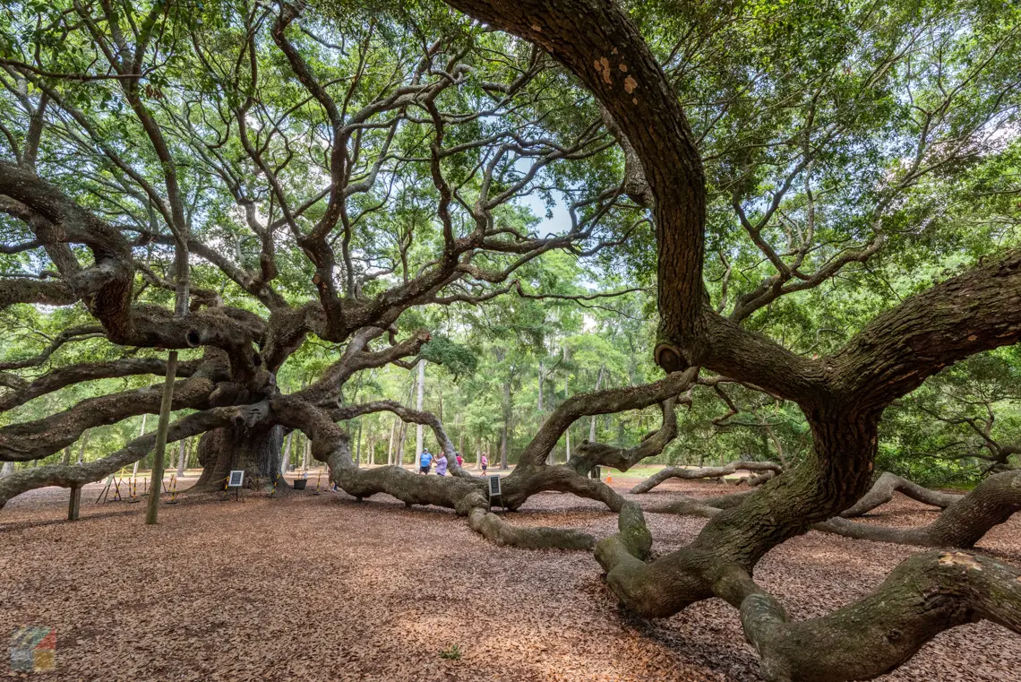 Charleston, SC Photo Tours and Travel Information